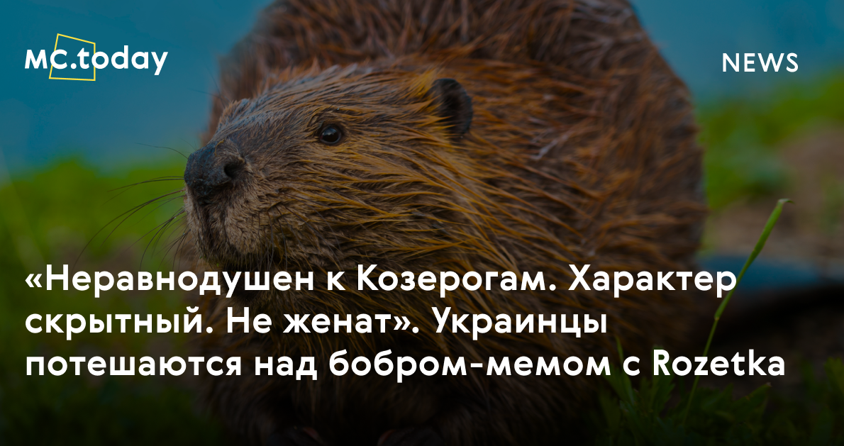 Украинцы потешаются над бобром-мемом с Rozetka